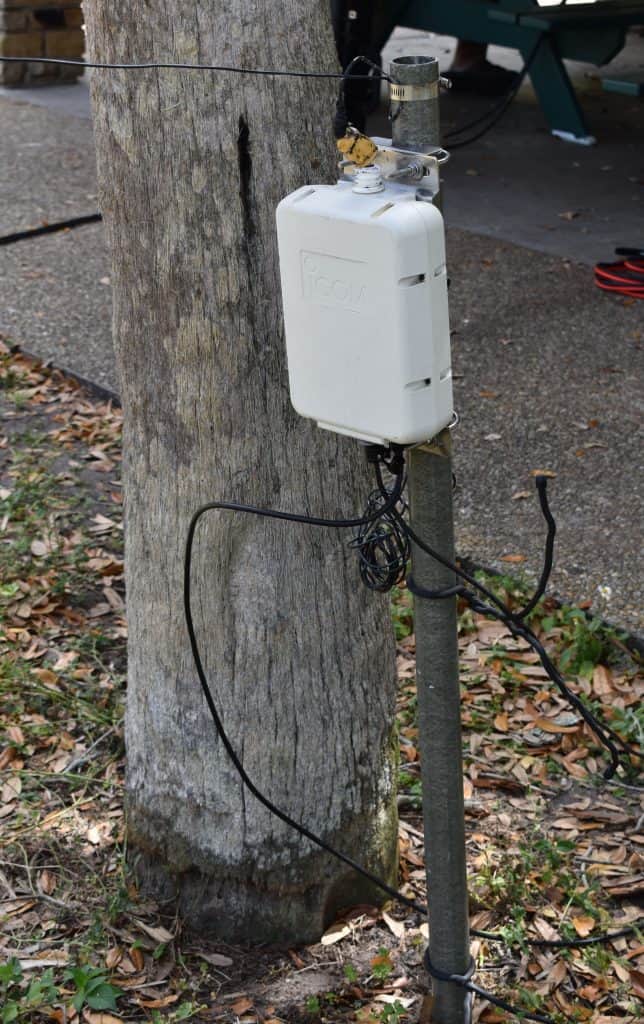 SPARC in the Park Big Success | SPARC